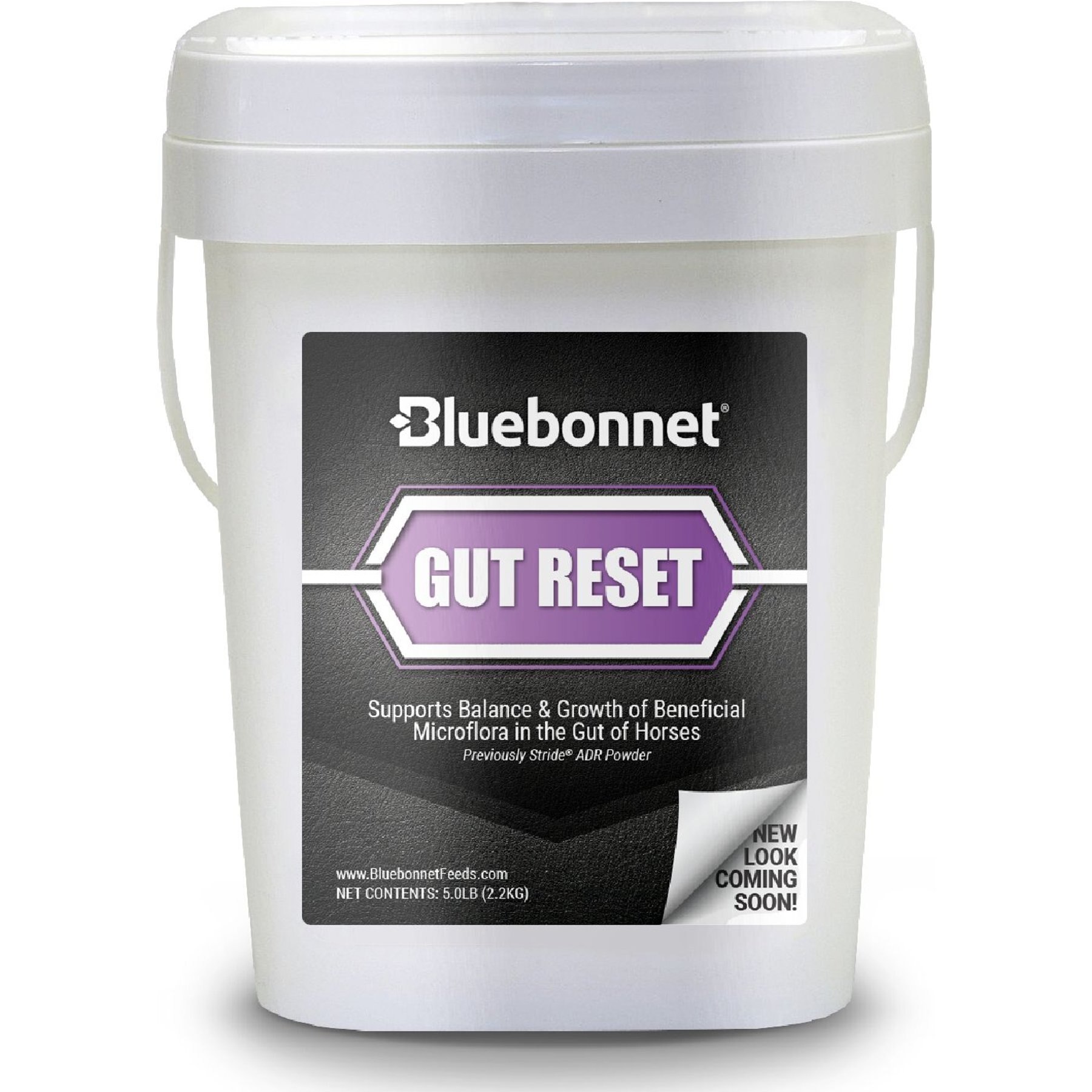 STRIDE ANIMAL HEALTH ADR Powder Digestive Horse Supplement, 5-lb tub ...