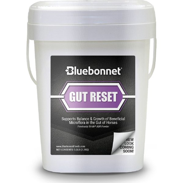 STRIDE ANIMAL HEALTH ADR Powder Digestive Horse Supplement, 5-lb tub ...