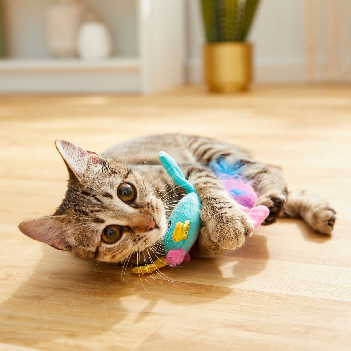 FRISCO Dragon Plush Cat Toy with Catnip - Chewy.com