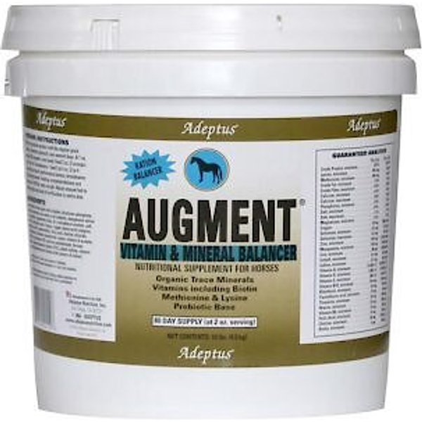 Out of Stock - CLOVITE Conditioner Powder Horse Supplement, 5-lb tub ...