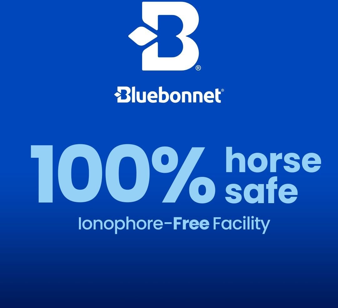 BLUEBONNET FEEDS Intensify Omega Force High Protein, Low Starch Horse ...