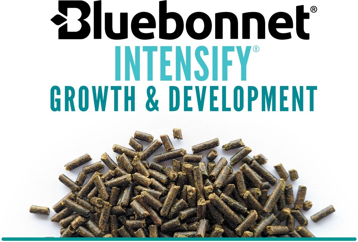 BLUEBONNET FEEDS Intensify Growth & Development Low Sugar, Low Starch ...