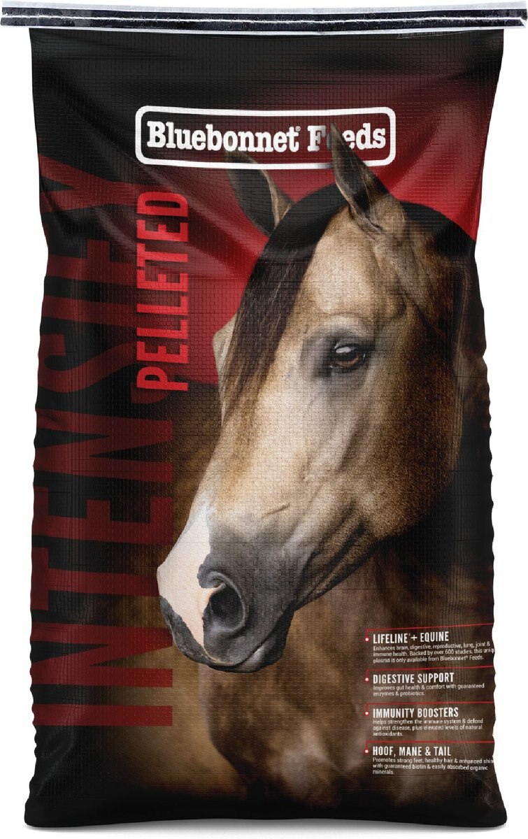 BLUEBONNET FEEDS Intensify Pelleted High Fat, Low Starch Horse Feed, 50 ...