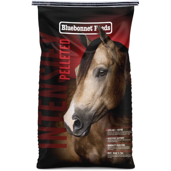 BLUEBONNET FEEDS Intensify Omega Force High Protein, Low Starch Horse ...