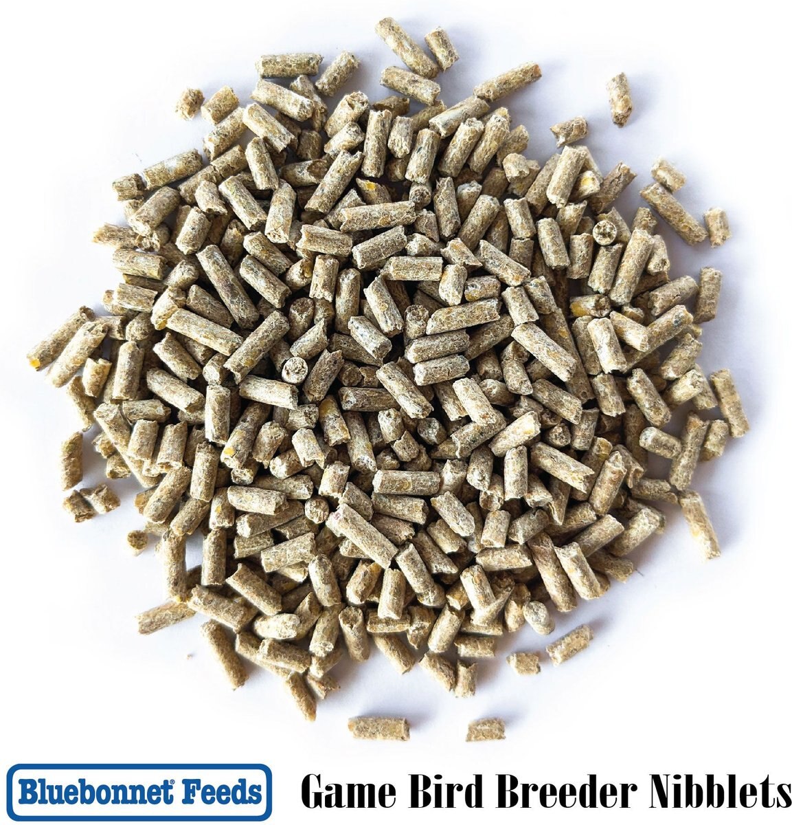 BLUEBONNET FEEDS Game Bird Breeder 20% Protein Nibblet Bird Food, 50-lb bag - Chewy.com