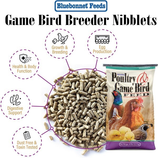 BLUEBONNET FEEDS Game Bird Breeder 20% Protein Nibblet Bird Food, 50-lb bag - Chewy.com