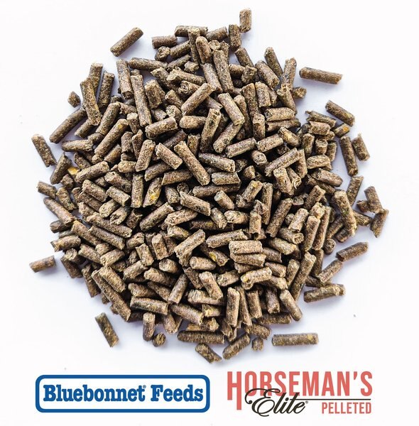 BLUEBONNET FEEDS Horsemans Elite Pelleted Horse Feed, 50-lb bag - Chewy.com