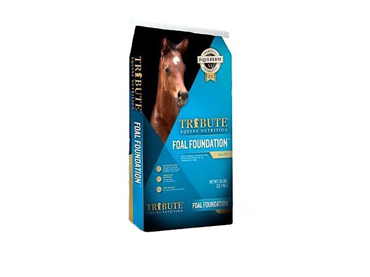 TRIBUTE EQUINE NUTRITION Foal Foundation Milk-Based Horse Feed, 50-lb ...