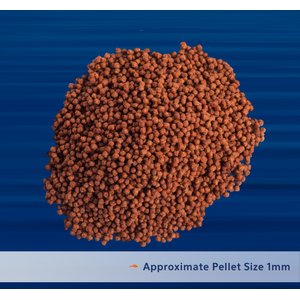 10 Best Betta Fish Foods 2025: According to Reviews | Chewy