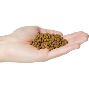 10 Best Pond Fish & Koi Foods 2024: According to Reviews | Chewy