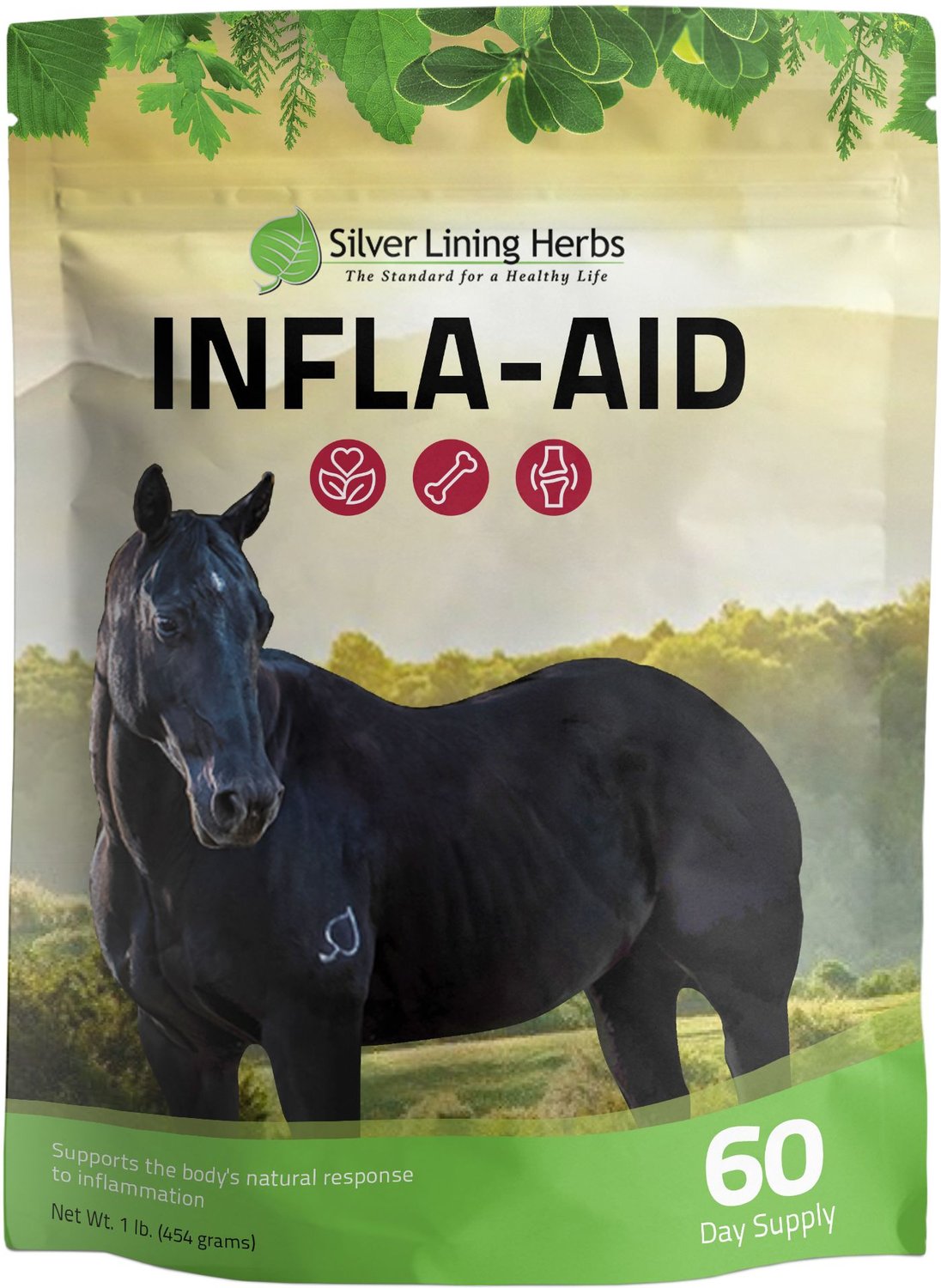 SILVER LINING HERBS INFLA-AID Recovery Powder Horse Supplement, 1-lb ...