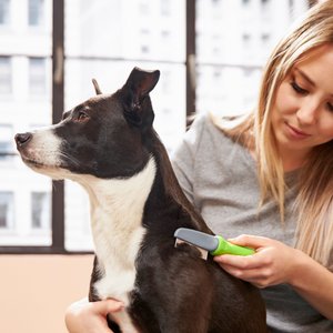 10 Best Flea & Tick Combs & Brushes for Dogs 2025: According to Reviews ...