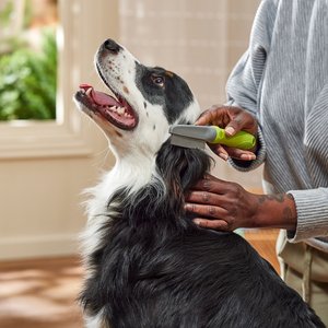 10 Best Flea & Tick Combs & Brushes for Dogs 2024: According to Reviews ...