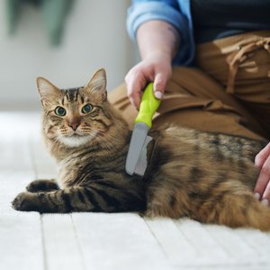 10 Best Flea & Tick Combs & Brushes for Cats 2024: According to Reviews ...