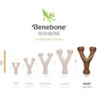 BENEBONE Bacon Flavor Wishbone Tough Dog Chew Toy, Giant - Chewy.com