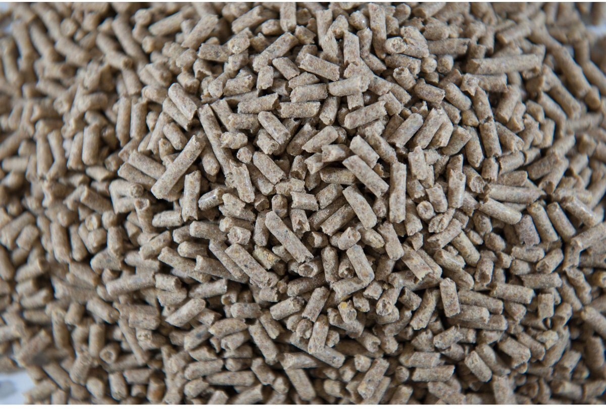 BUCKEYE NUTRITION Gro 'N Win Alfa Horse Feed, 50-lb bag - Chewy.com