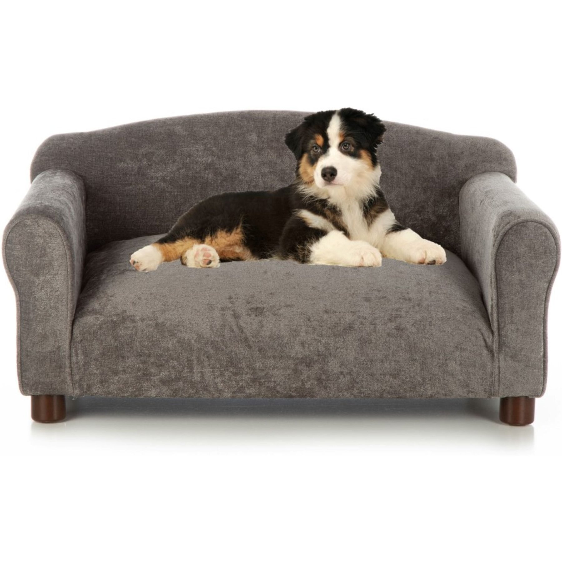 CLUB NINE PETS Traditional Chair Sofa Cat & Dog Bed, Charcoal, Medium ...