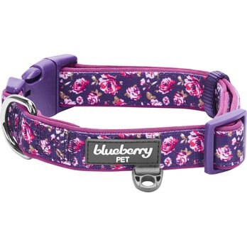 Blueberry Pet - Free shipping | Chewy