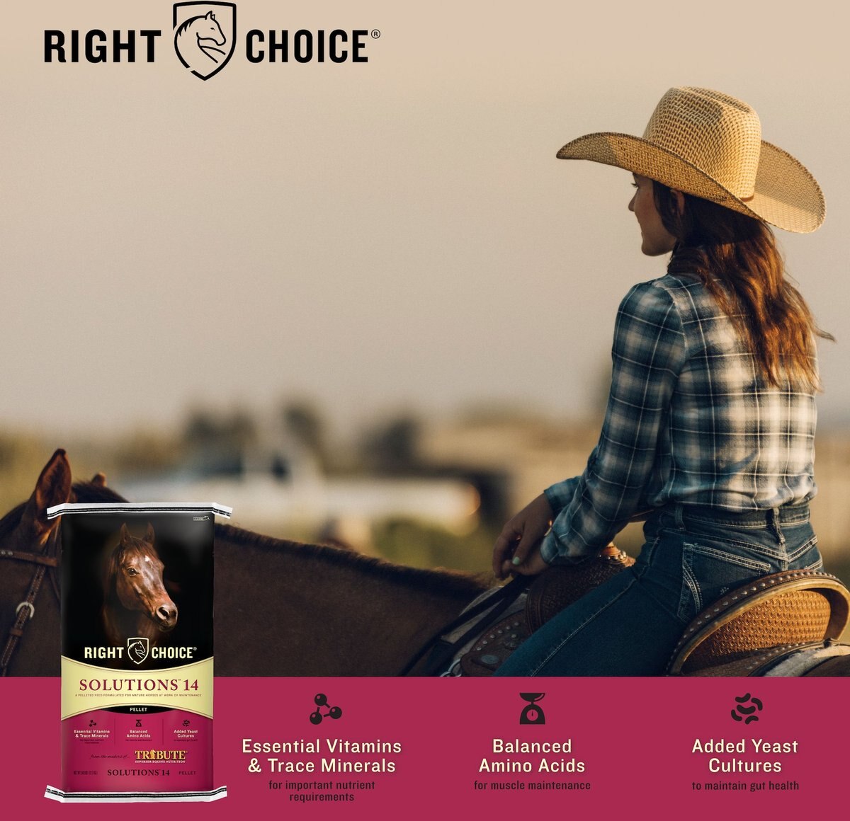 RIGHT CHOICE Solutions 14 Horse Feed, 50-lb bag - Chewy.com