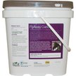 EQUILITE HERBALS FlyAway Garlic Immune System Support Powder Horse ...