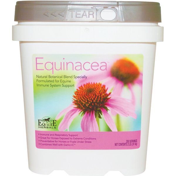 EQUILITE HERBALS Immune Support Equinacea Powder Horse Supplement, 2-lb ...