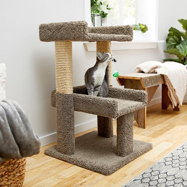 FRISCO CAT TREES & CONDOS (Free Shipping) | Chewy