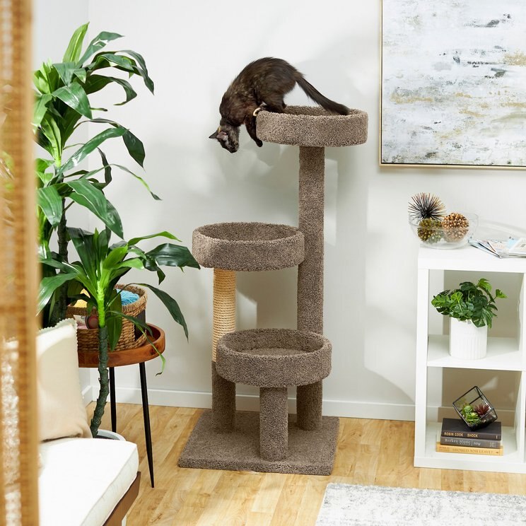 Medium Cat Trees & Condos: 31-59" Tall (Free Shipping) | Chewy