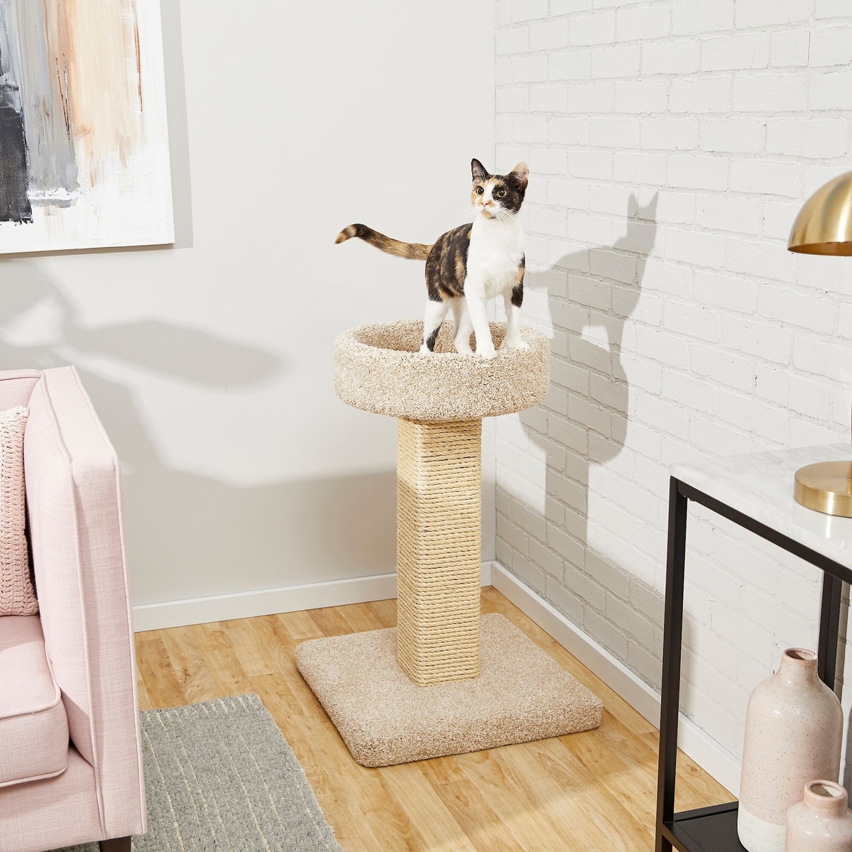 Temporarily Unavailable - FRISCO 32-in Real Carpet Solid Wood Cat Tree ...