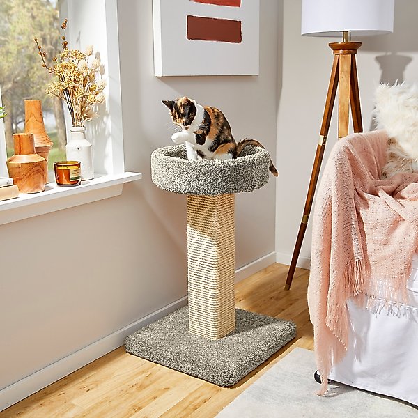 FRISCO 27-in Real Carpet Cat Tree with Condo & Oval Perch, Gray - Chewy.com