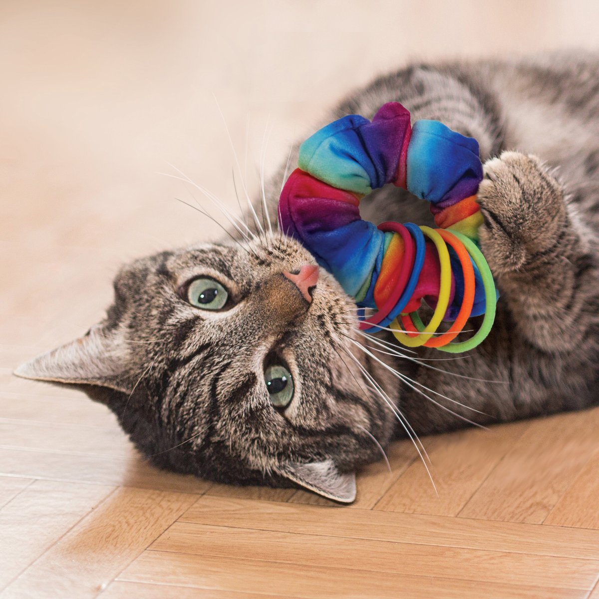 KONG Cat Active Scrunchie Cat Toy - Chewy.com