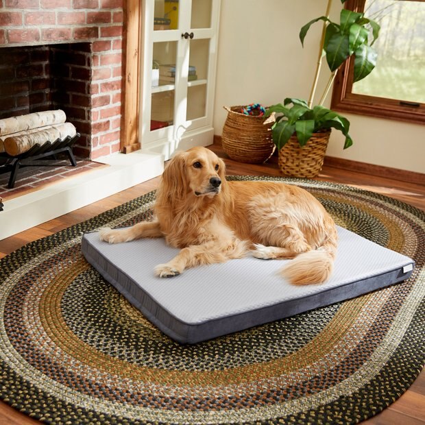 MEMORY FOAM ORTHOPEDIC DOG BEDS (Free Shipping) | Chewy