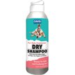 DAVIS Dry Dog & Cat Shampoo, 5-fl oz bottle - Chewy.com