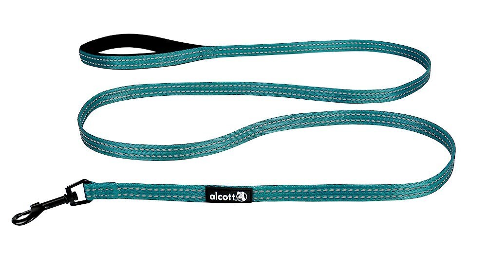 ALCOTT Adventure Polyester Reflective Dog Leash, Blue, Small: 6-ft long ...