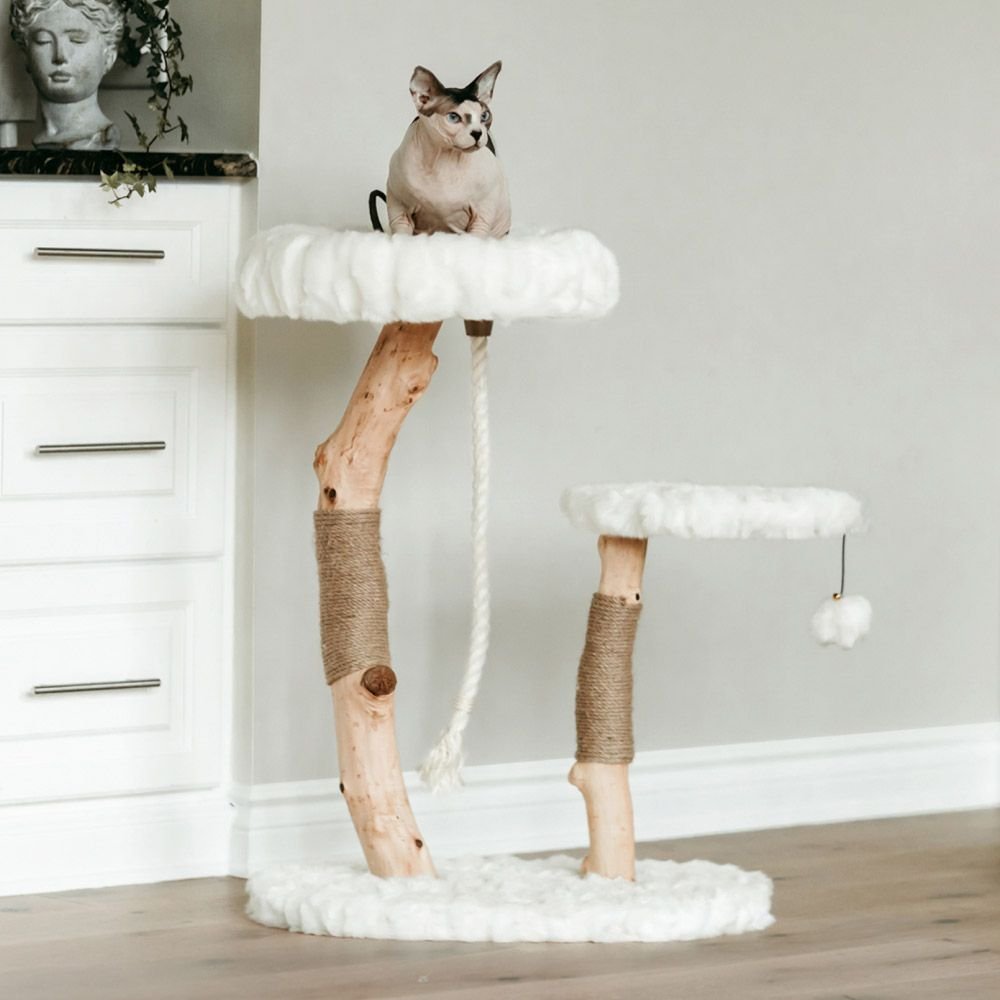 MAU Rizzo 32-in Modern Wooden Cat Tree Customer Questions - Chewy.com