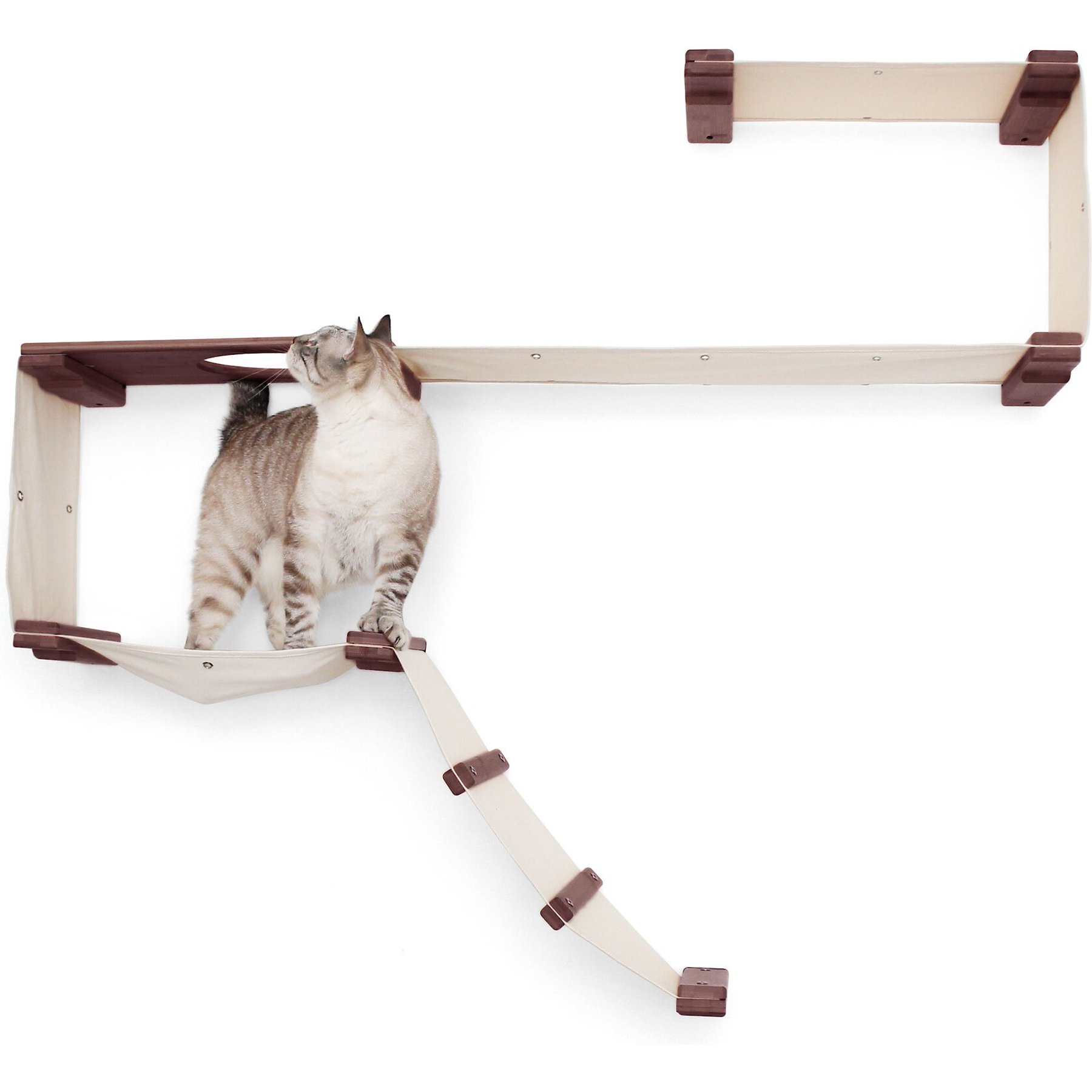 Catastrophicreations Play Wall Mounted Activity Cat Tree Shelf Set