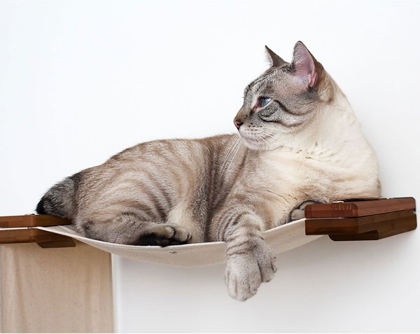 Discontinued Catastrophicreations Play Wall Mounted Activity Cat Tree