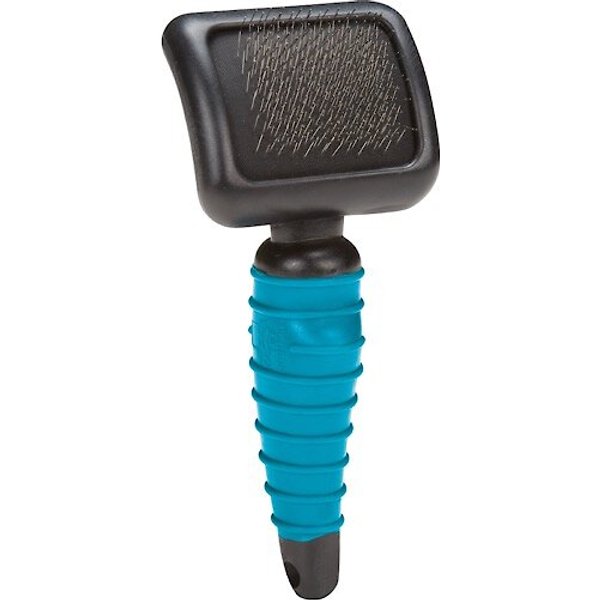 MASTER GROOMING TOOLS Ergonomic Slicker Pet Brush, Teal, Large - Chewy.com