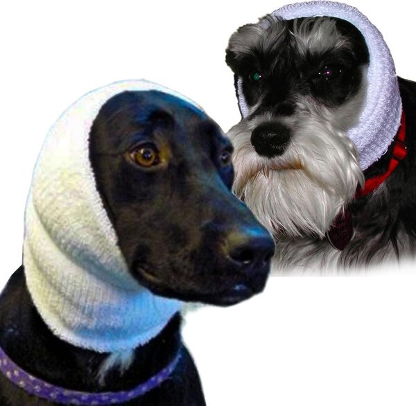 HAPPY HOODIE Calming Cap for Dogs, Small & Large, 2 count, White ...