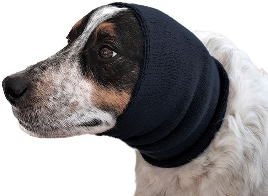 HAPPY HOODIE Calming Cap for Dogs, Black, Large - Chewy.com