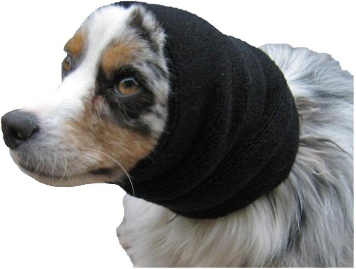 HAPPY HOODIE Calming Cap for Dogs, Black, Large - Chewy.com
