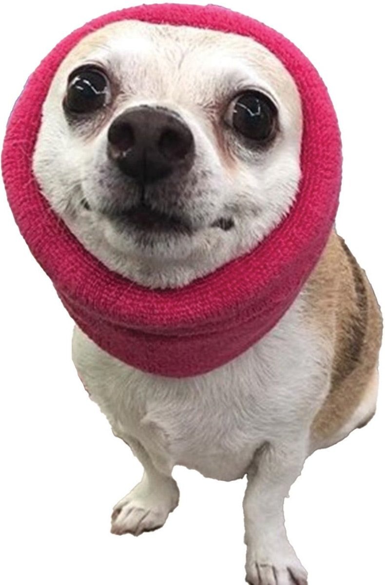 HAPPY HOODIE Calming Cap for Dogs, Pink, Small - Chewy.com