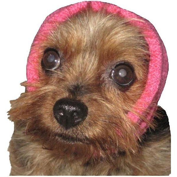HAPPY HOODIE Calming Cap for Dogs, Pink, Small - Chewy.com