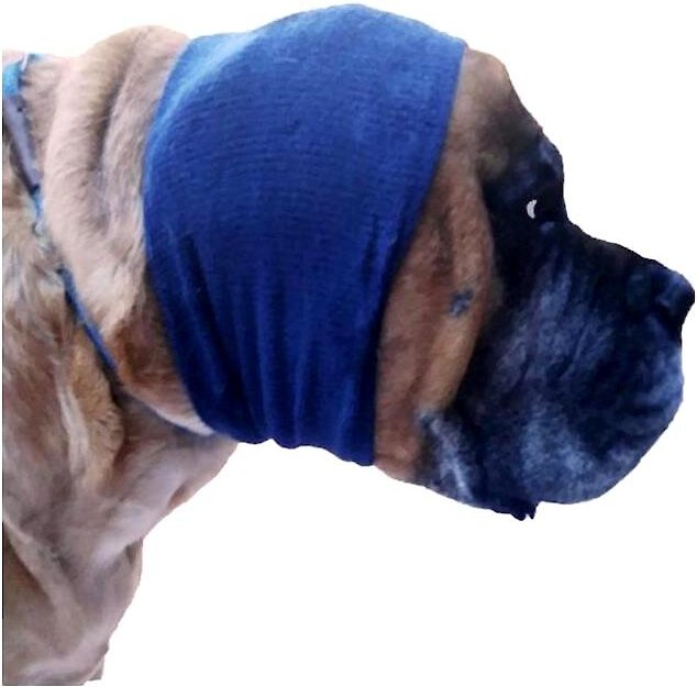 HAPPY HOODIE Calming Cap for Dogs, Navy Blue, X-Large - Chewy.com