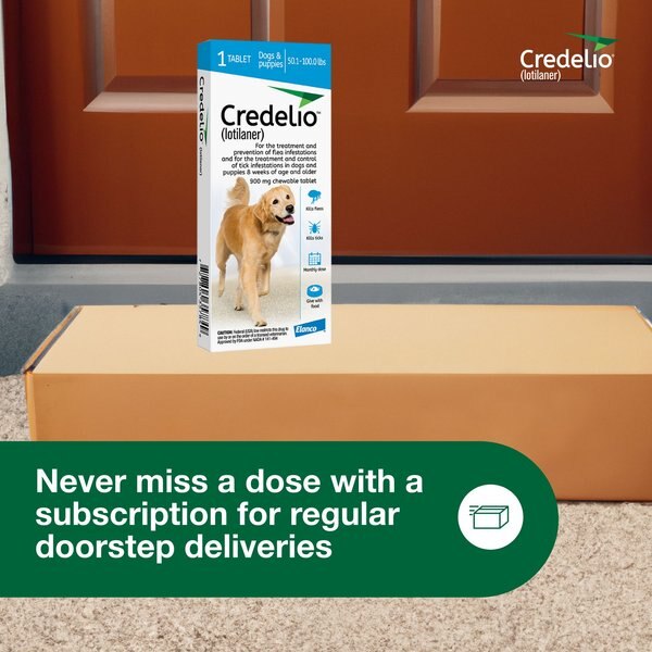 CREDELIO Chewable Tablet for Dogs, 50.1-100 lbs, (Blue Box), 1 Chewable ...