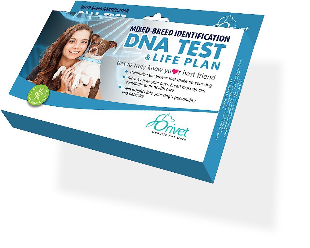 ORIVET Geno Pet Dog DNA Breed Identification Test Customer Questions ...