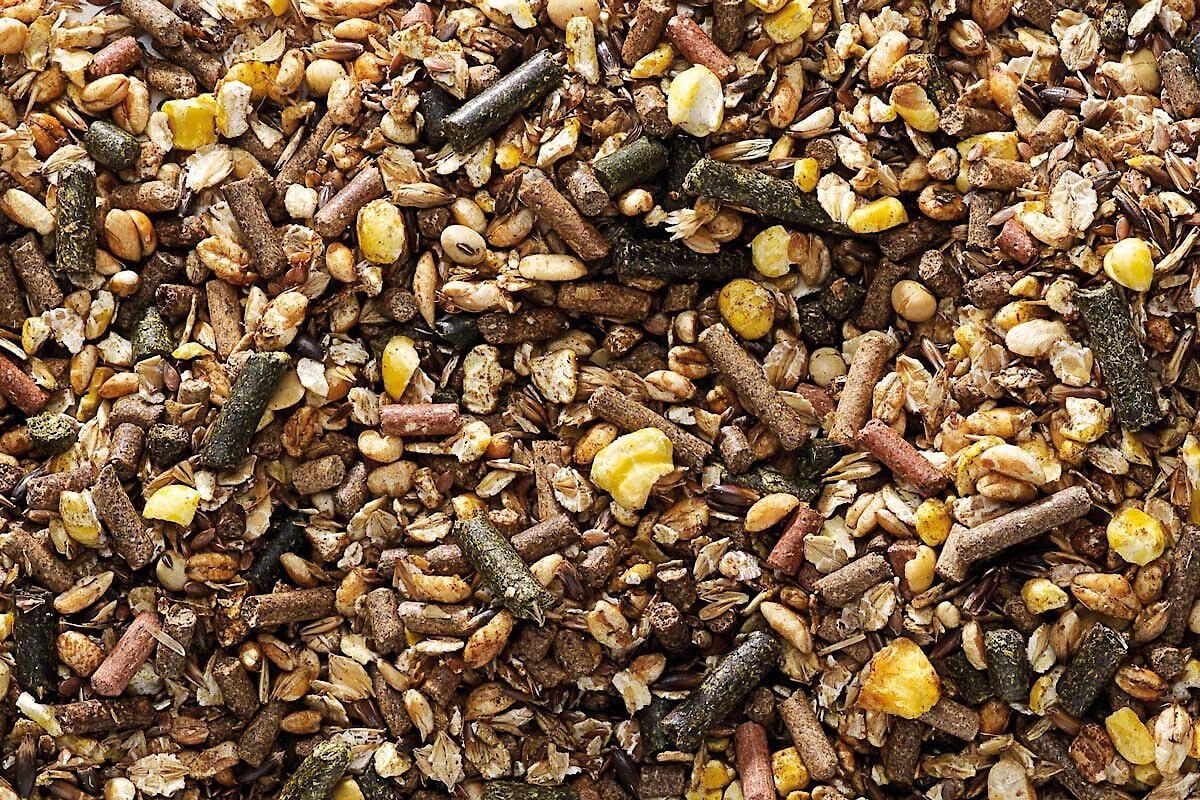 CAVALOR Probreed Horse Feed, 44-lb bag - Chewy.com