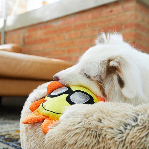 Discontinued - FRISCO Summer Fun Plush Sun Dog Toy - Chewy.com