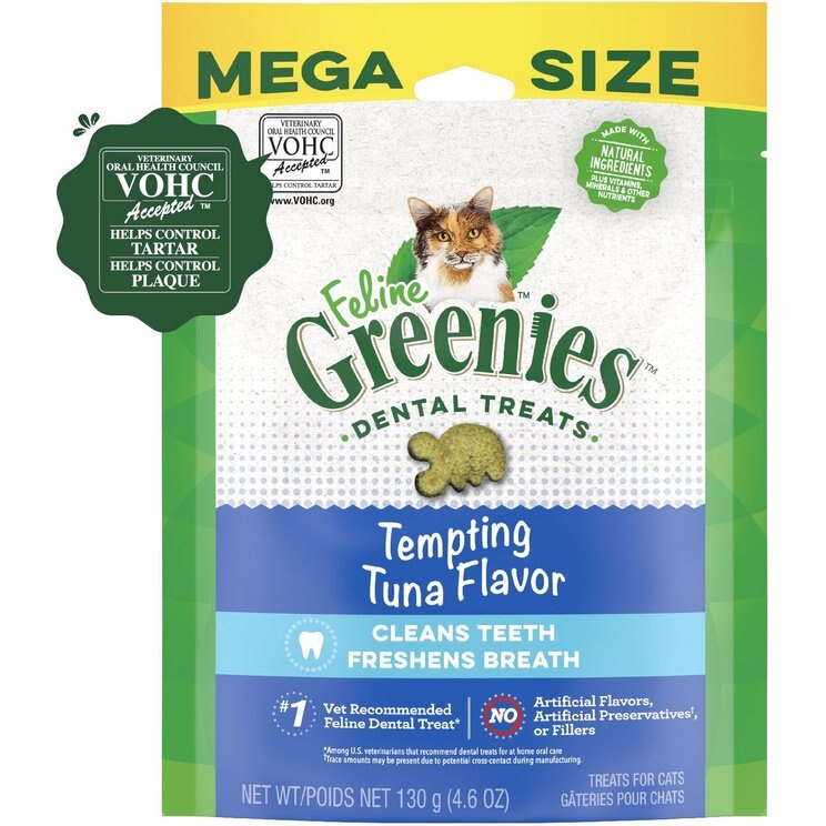 GREENIES DENTAL CHEWS FOR CATS (Free Shipping) | Chewy