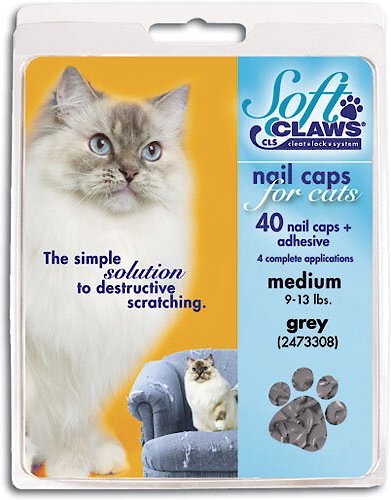 SOFT CLAWS Cat Nail Caps, 40 count, Large, Grey - Chewy.com