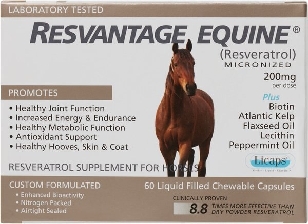 RESVANTAGE Equine Daily Maintenance Comprehensive Capsule Horse ...